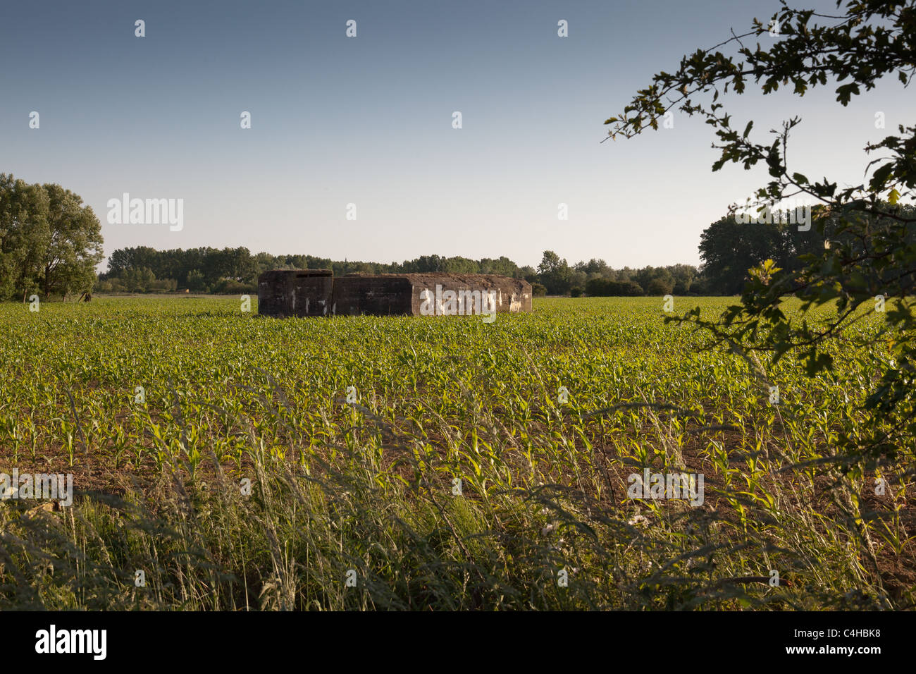 The German World War One bunker near Fromelles in France in which Adolf ...