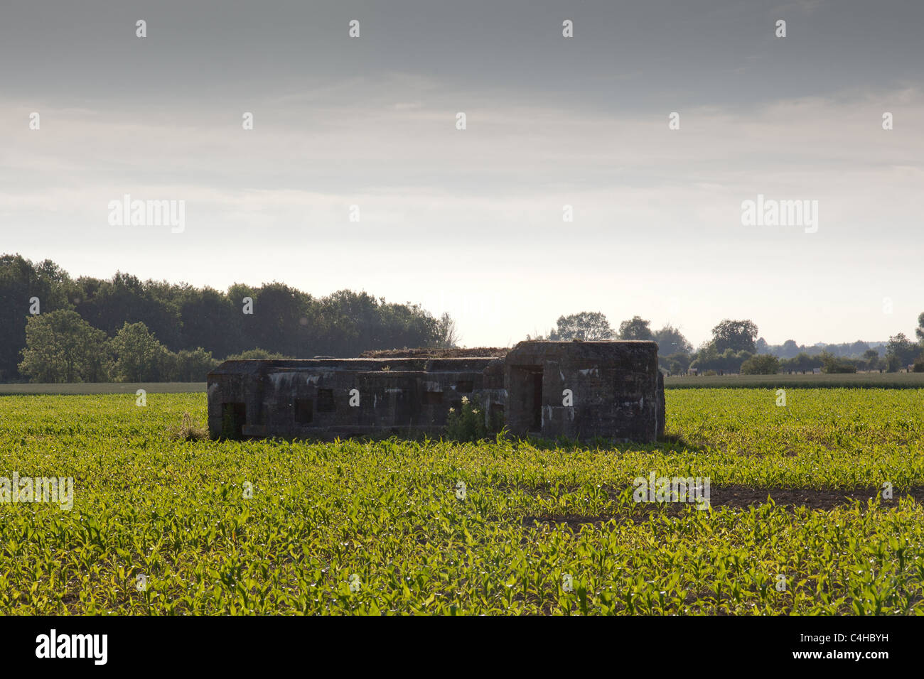 The German World War One bunker near Fromelles in France in which Adolf ...