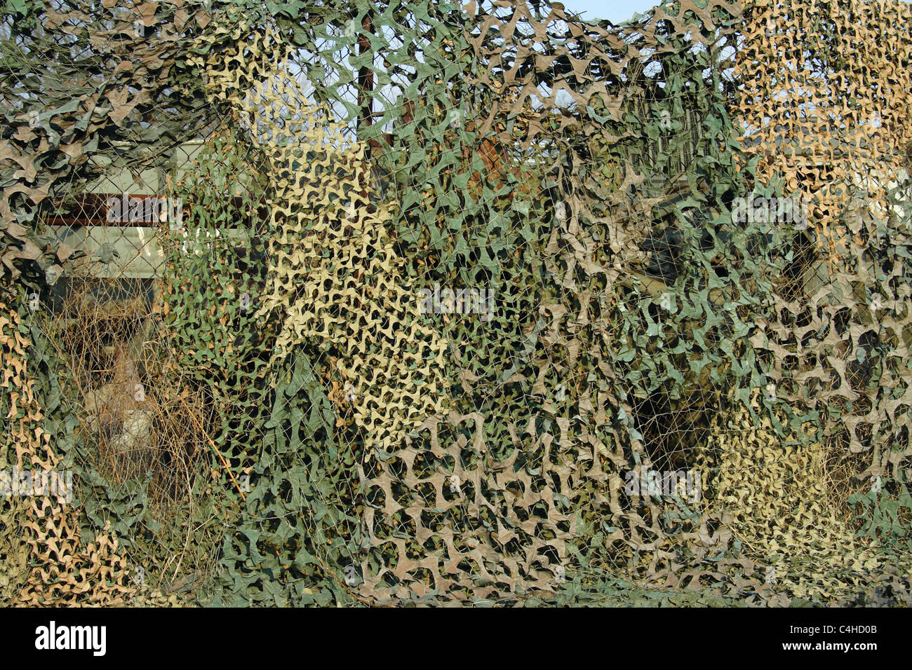 Hidden pattern hi-res stock photography and images - Alamy