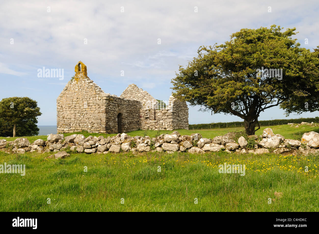 Remains of 12th century Lligwy Chapel overlooking Lligwy Bay Moelfre ...