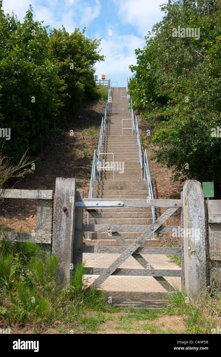 Stour and Orwell Walk Stock Photo - Alamy