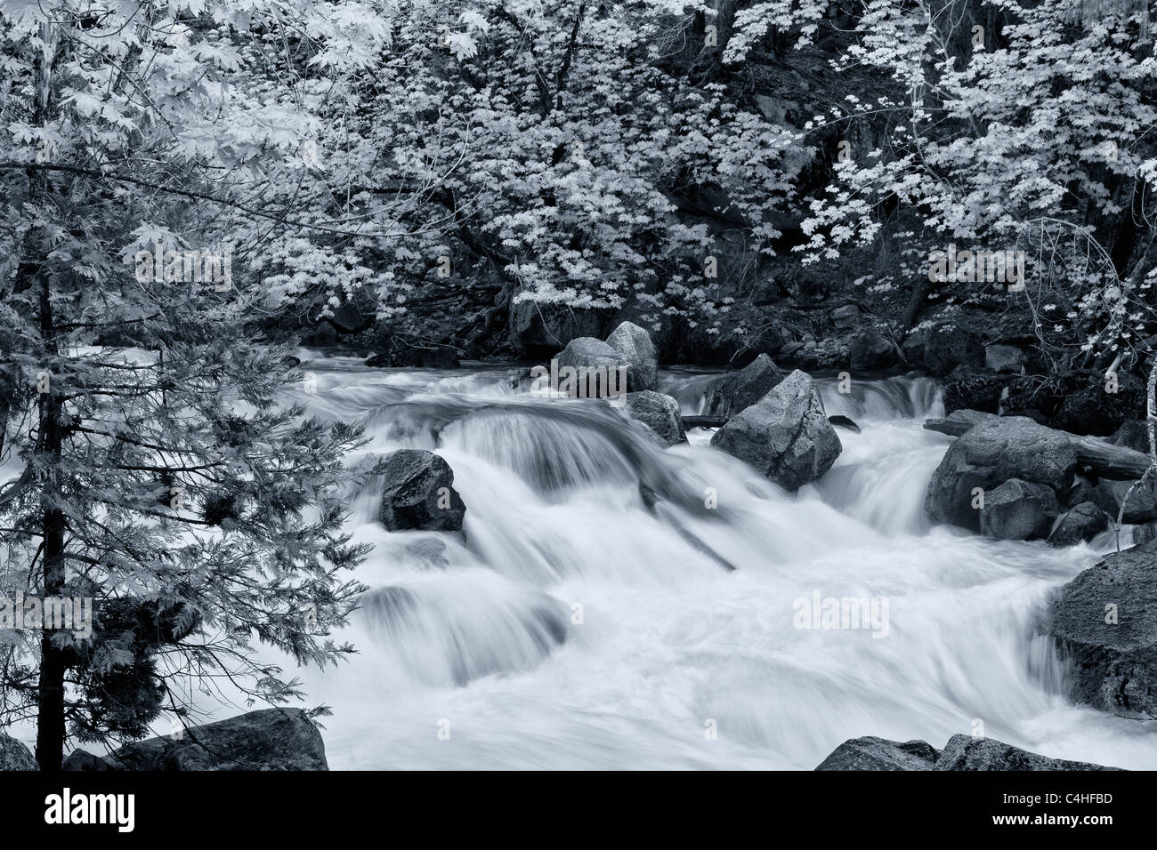 Time lapse spring landscape full hi-res stock photography and images ...