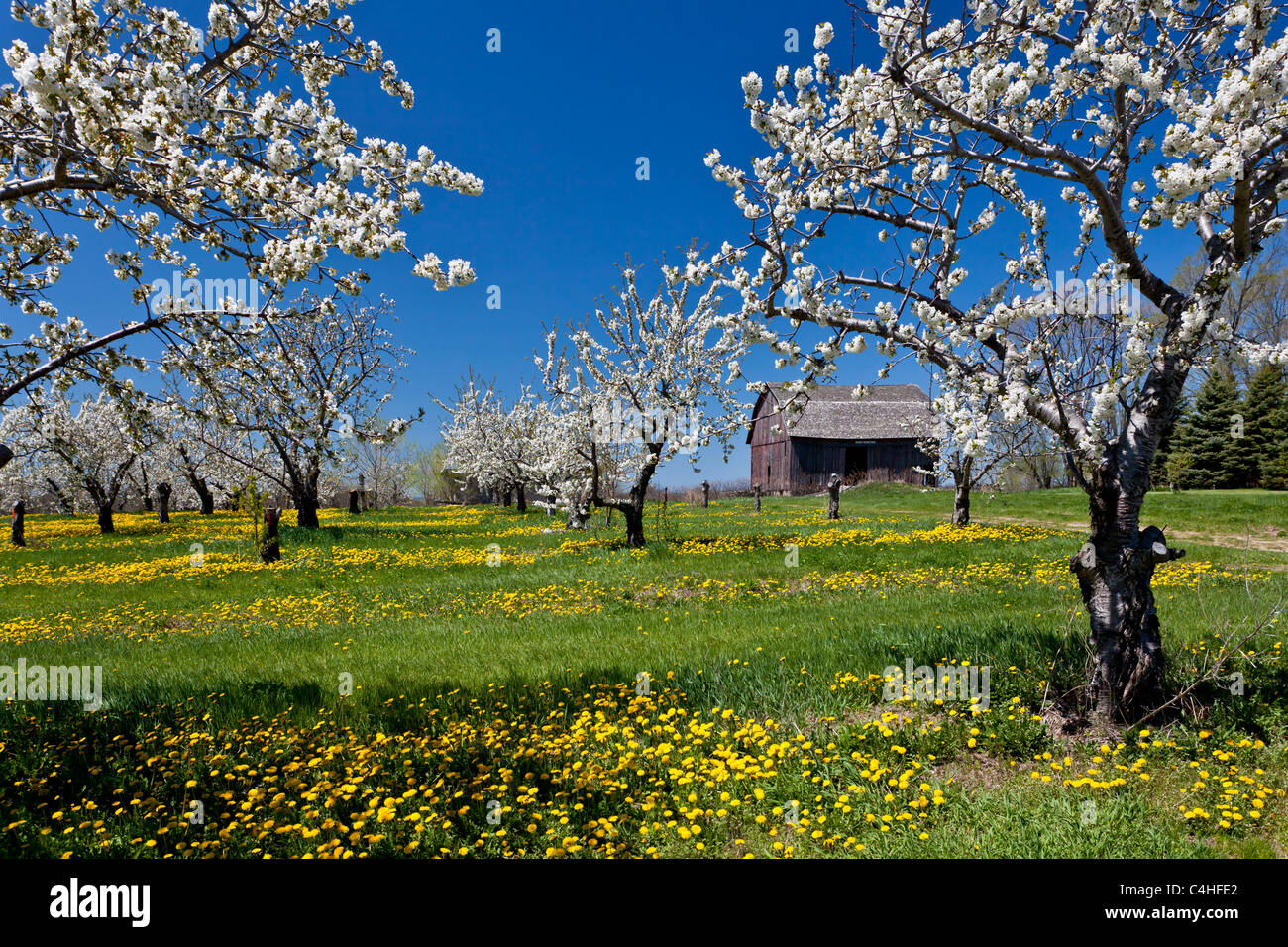 Orchard barn hi-res stock photography and images - Alamy