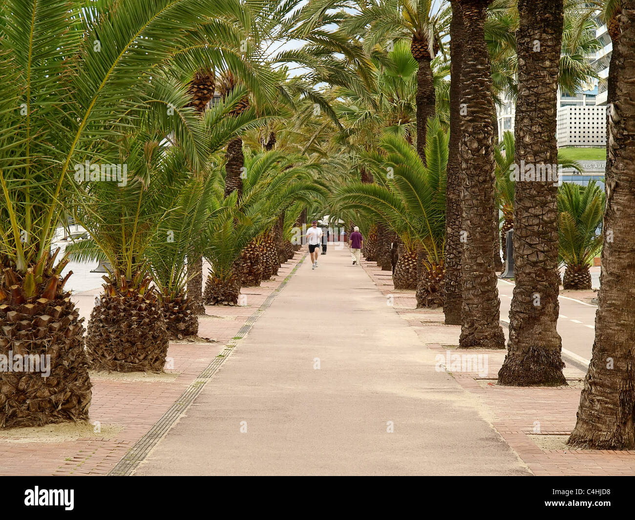 Tropical running path with jogging man Stock Photo - Alamy