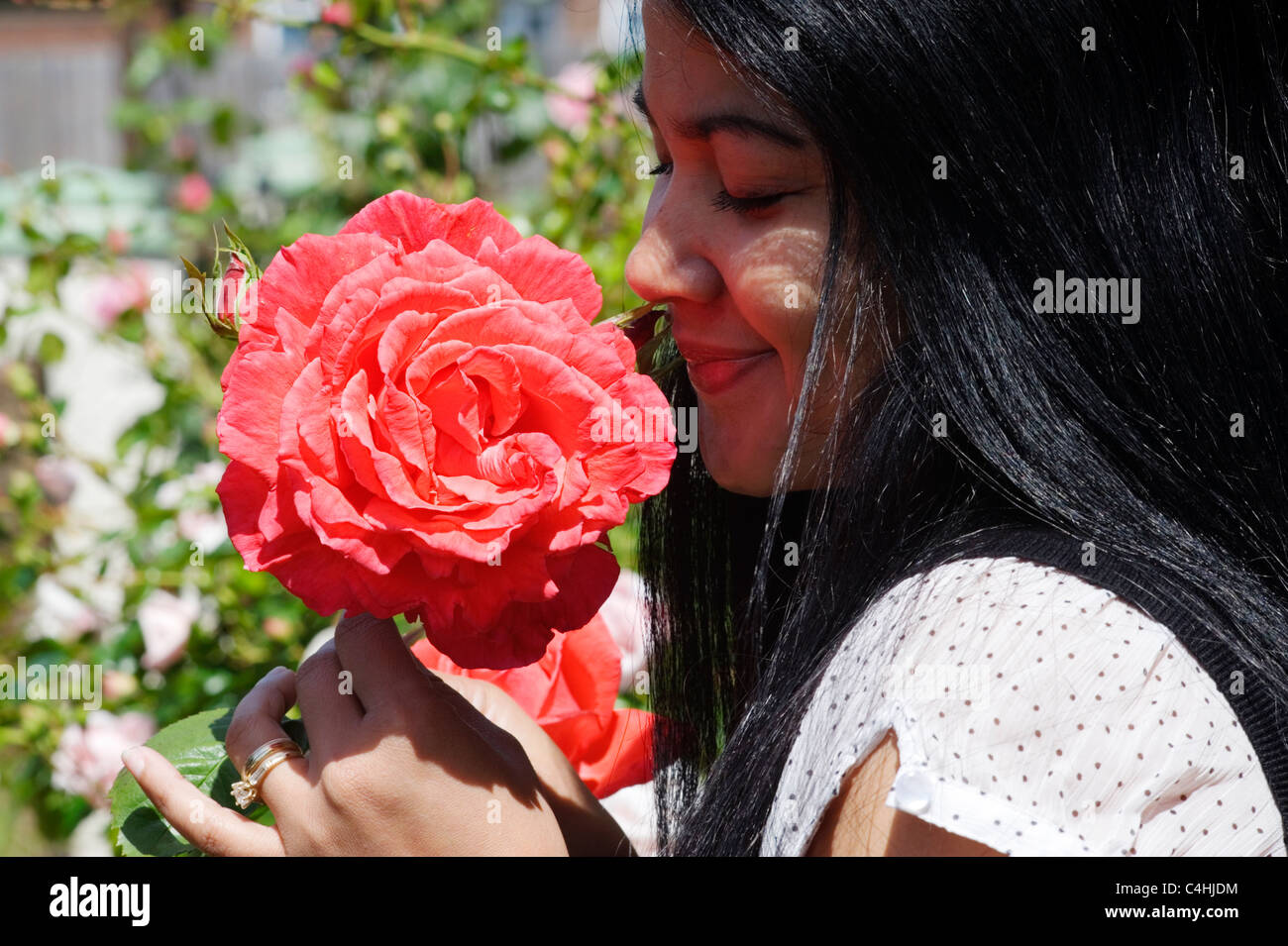young woman smelling bright pink rose Stock Photo - Alamy