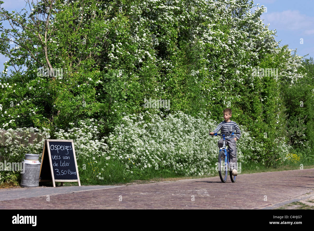 Farmer's notice board and Dutch boy with wooden clogs riding bicycle at ...