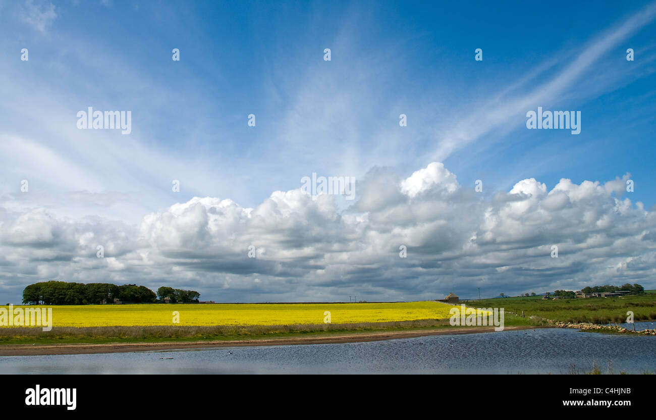 Converging clouds over a mixed landscape of rape fields, woods and ...