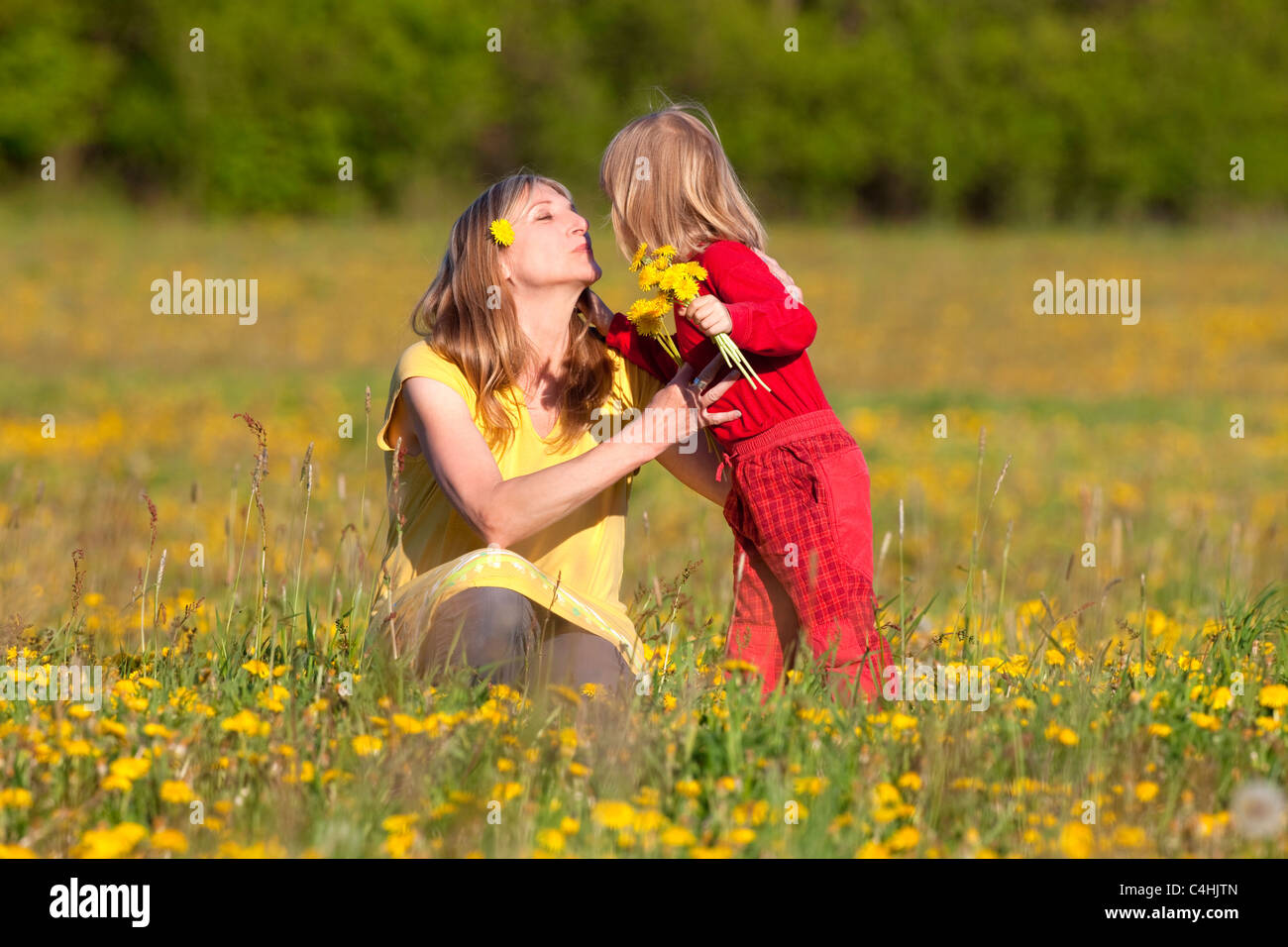 mother and son picking flowers at dandelion field in spring Stock Photo ...