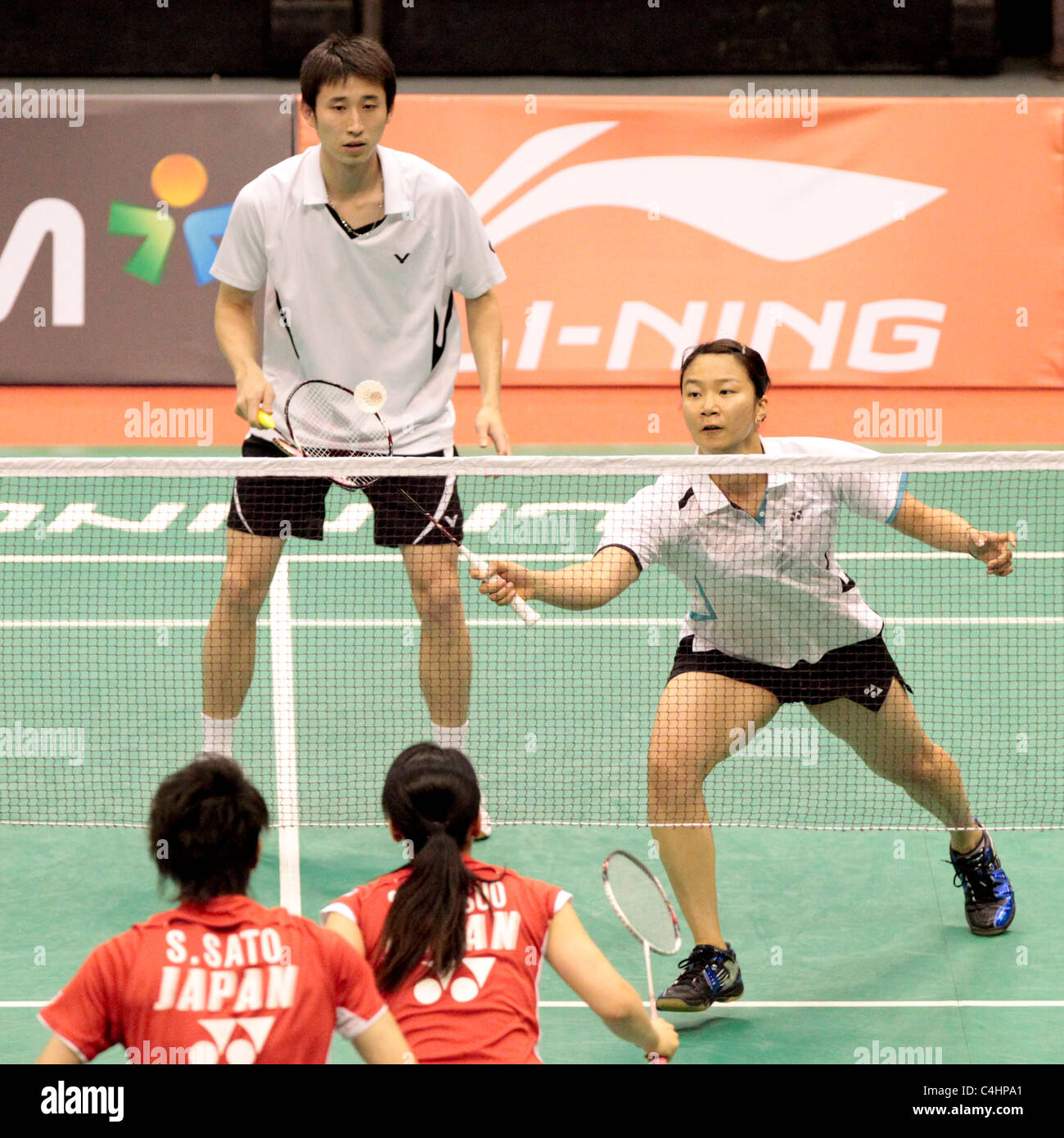 Chien lee during hi-res stock photography and images - Alamy