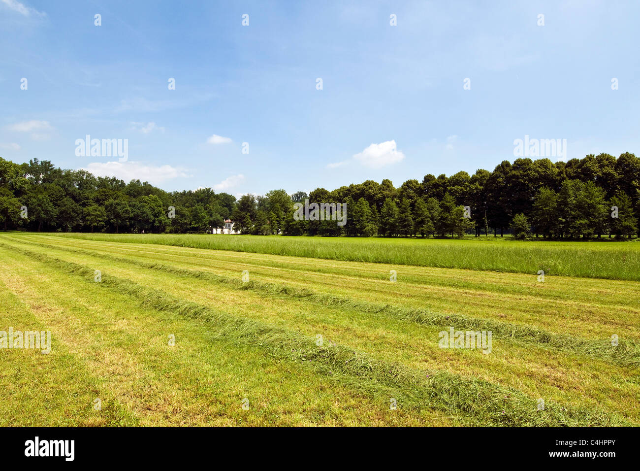 Monza park, Italy Stock Photo - Alamy