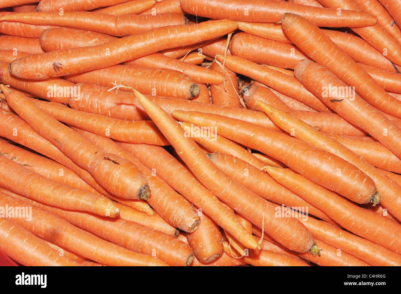 Lots of fresh carrots, close up Stock Photo - Alamy