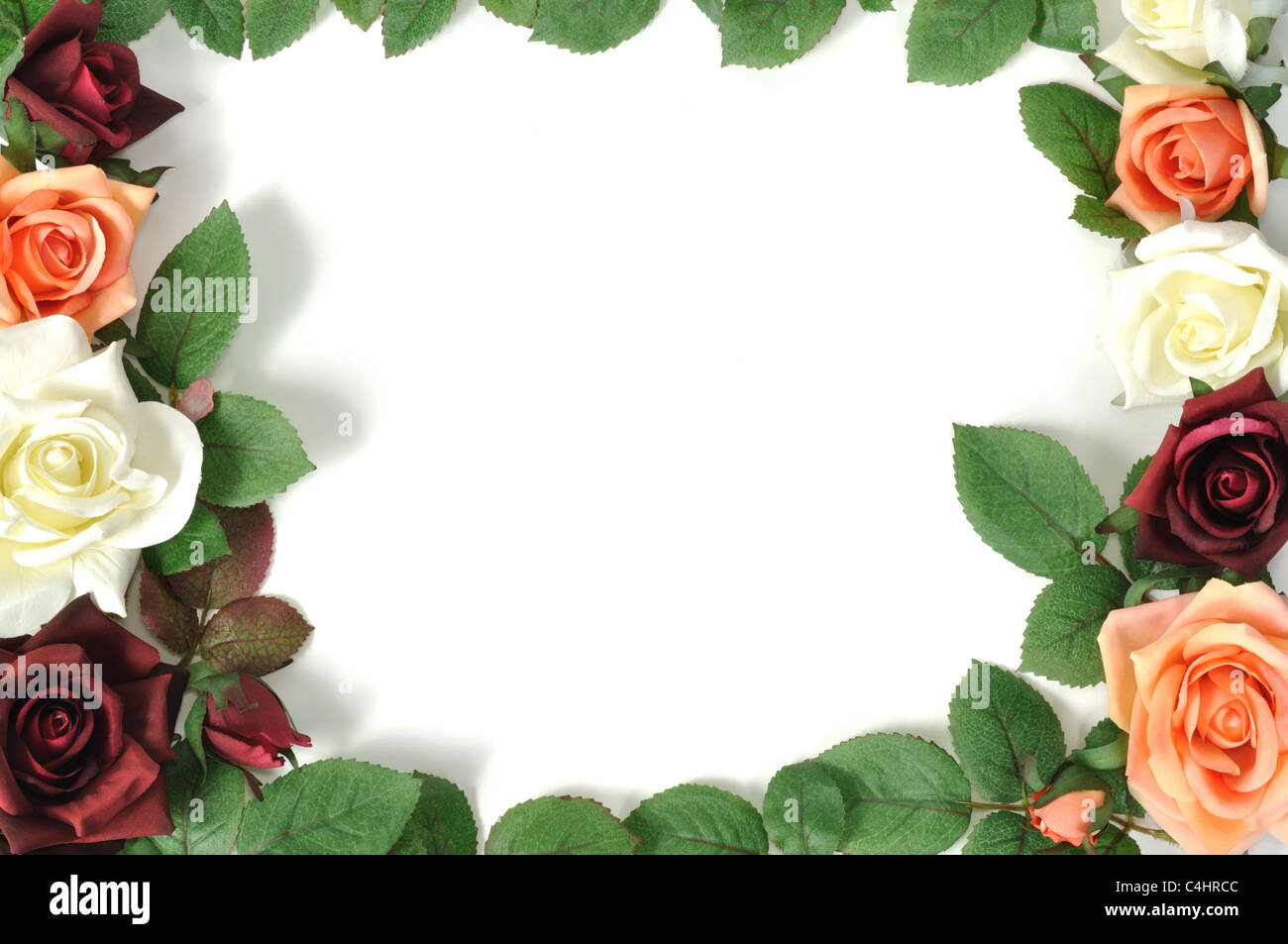 Framework from colorful roses, isolated on white Stock Photo - Alamy
