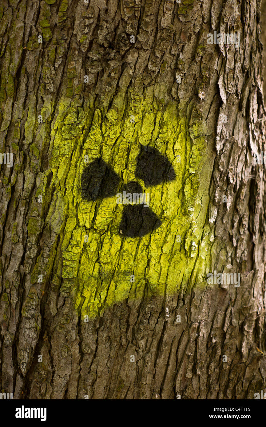 Graffito / graffiti: Black and yellow radiation symbol (trefoil) spayed ...