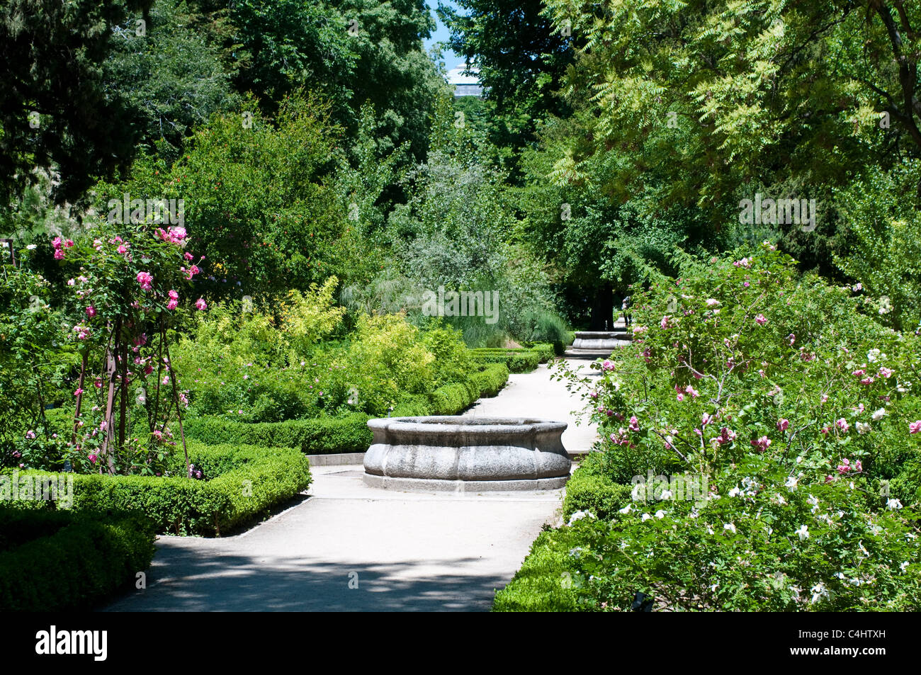 Botanical garden spanish jardin botanico hi-res stock photography and ...