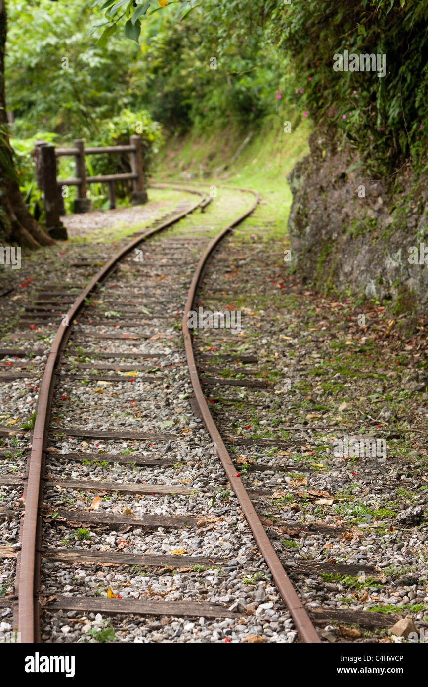 Logging railroad hi-res stock photography and images - Alamy