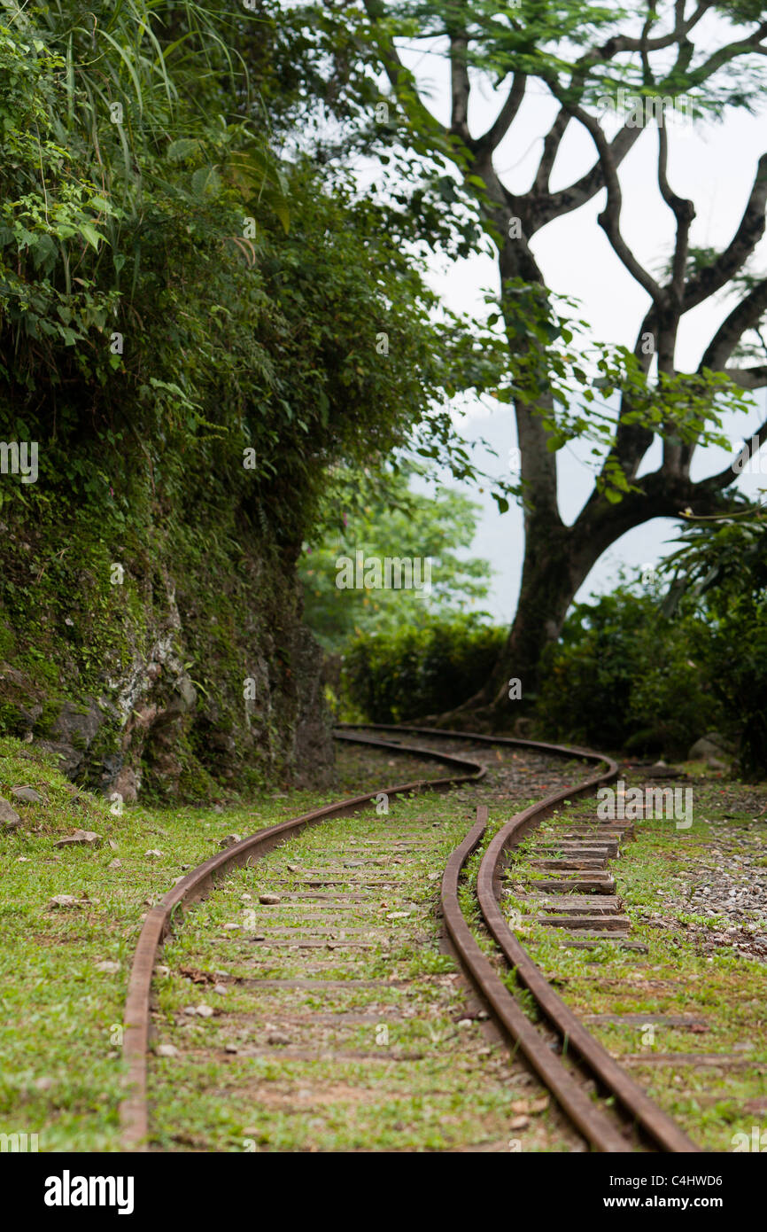Logging railroad hi-res stock photography and images - Alamy