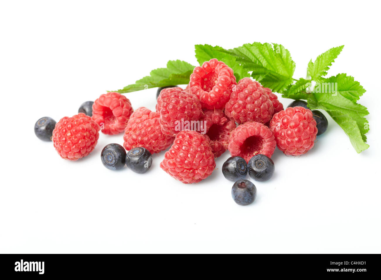 berries on white background Stock Photo - Alamy