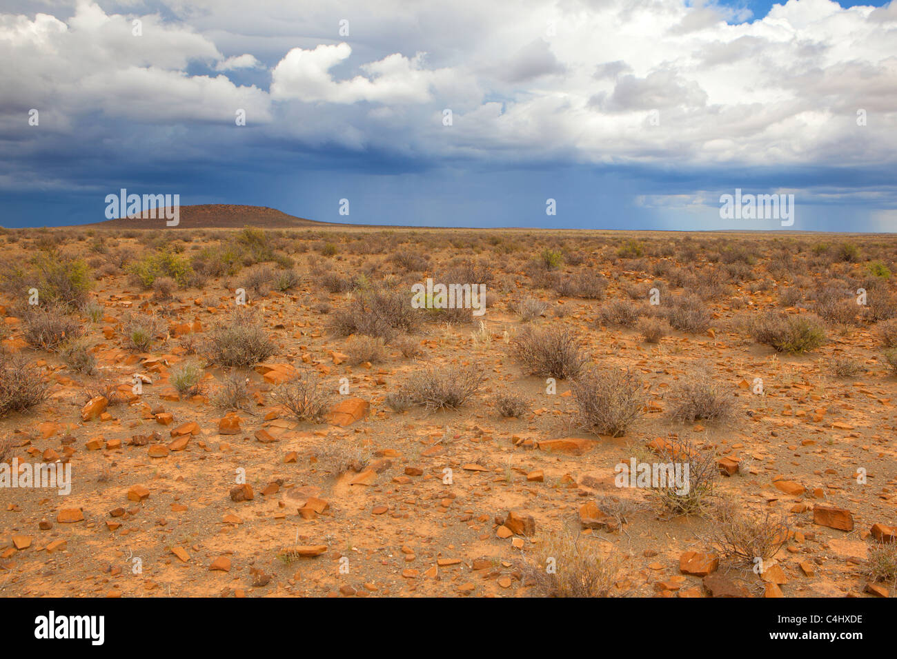Great Karoo Landscape, South Africa Stock Photo - Alamy
