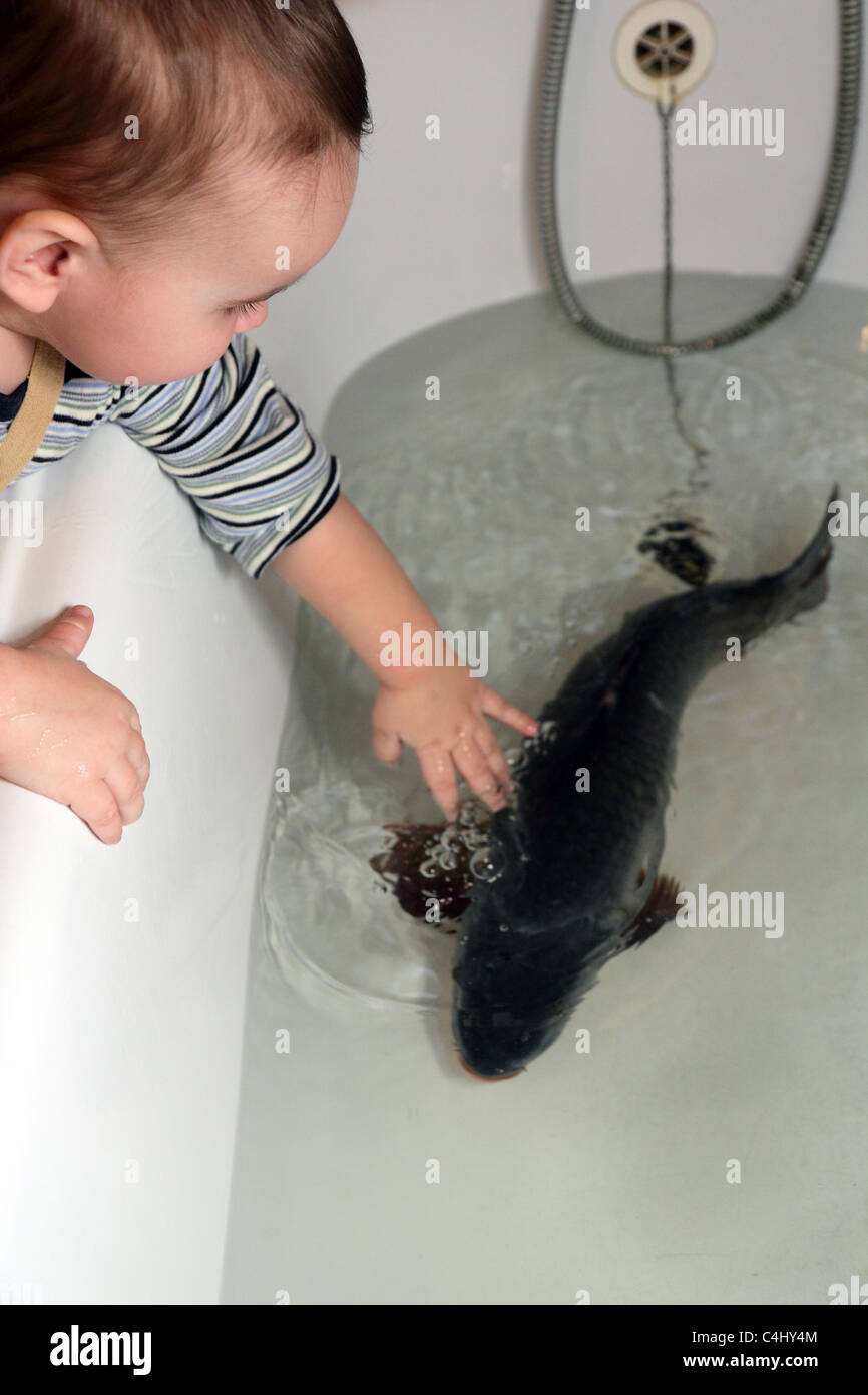 Child carp hi-res stock photography and images - Alamy