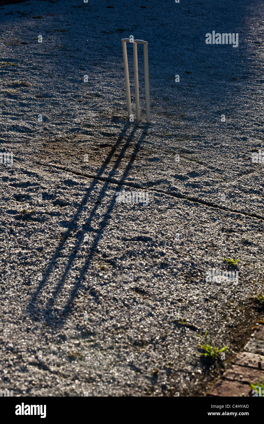 Cricket stumps hi-res stock photography and images - Alamy
