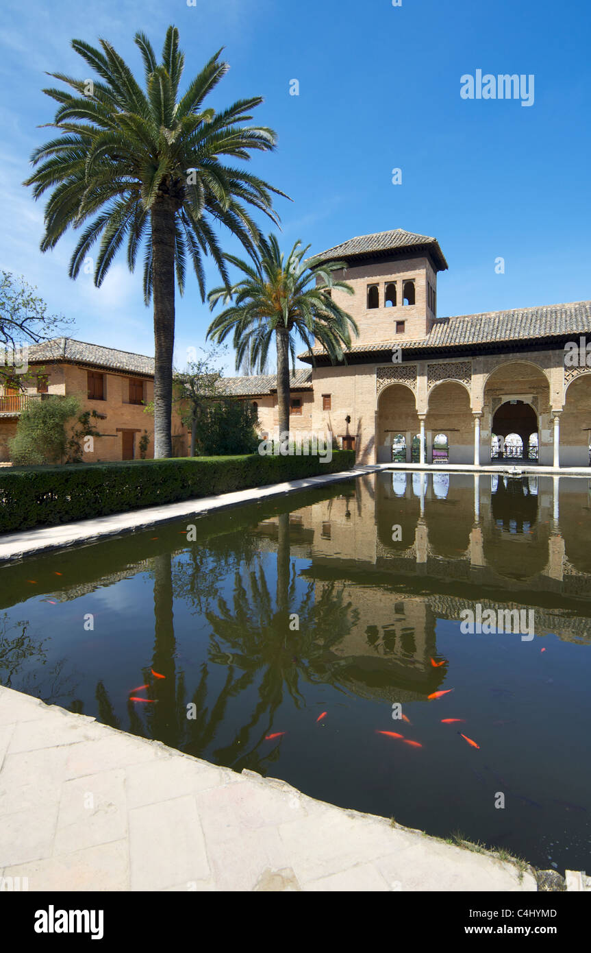 Fountain goldfish pond hi-res stock photography and images - Alamy