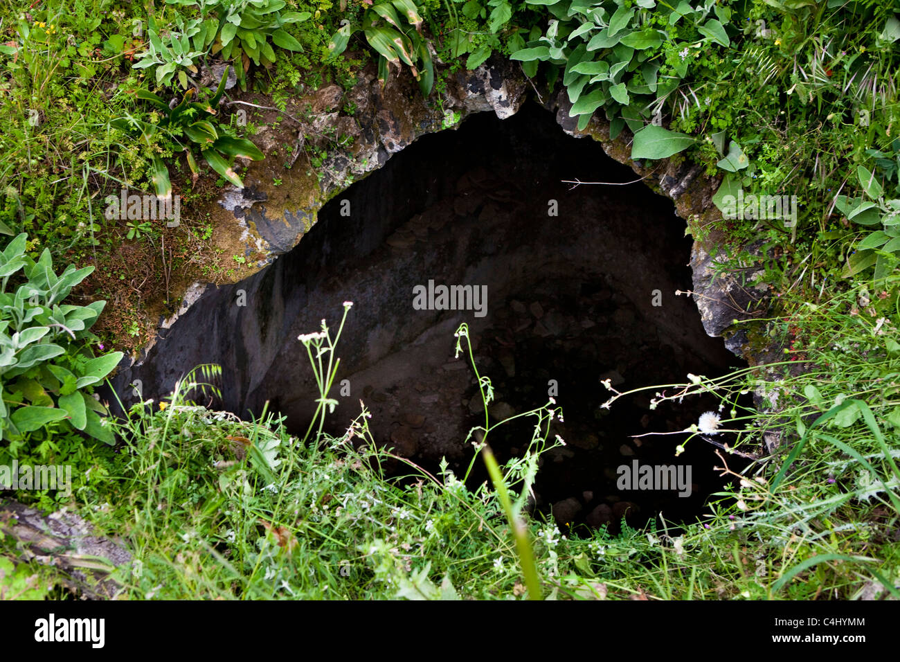 A view into an cistern in the ancient Hellenic city of Polyrinia, Crete ...
