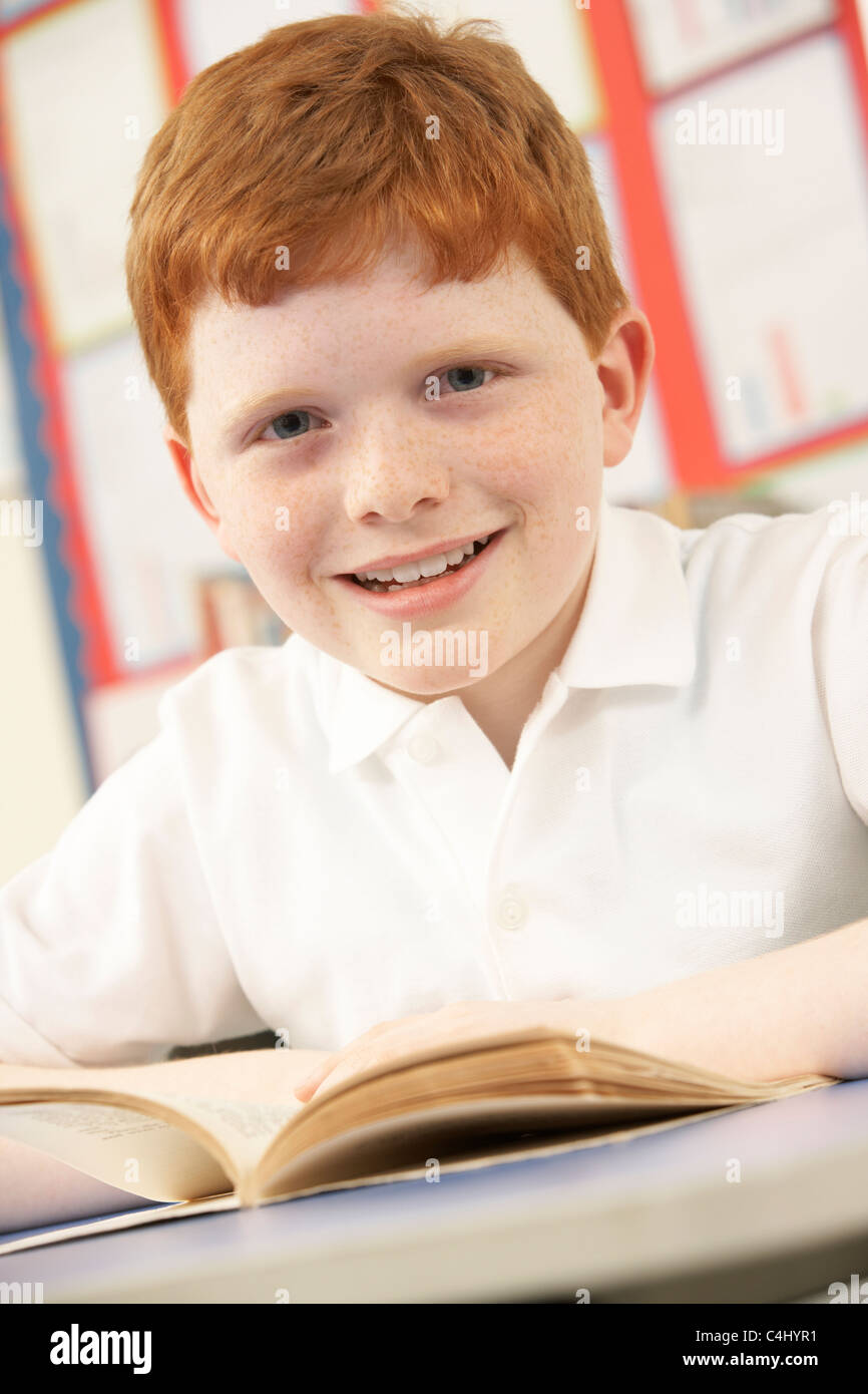Schoolboy Studying In Classroom Stock Photo - Alamy