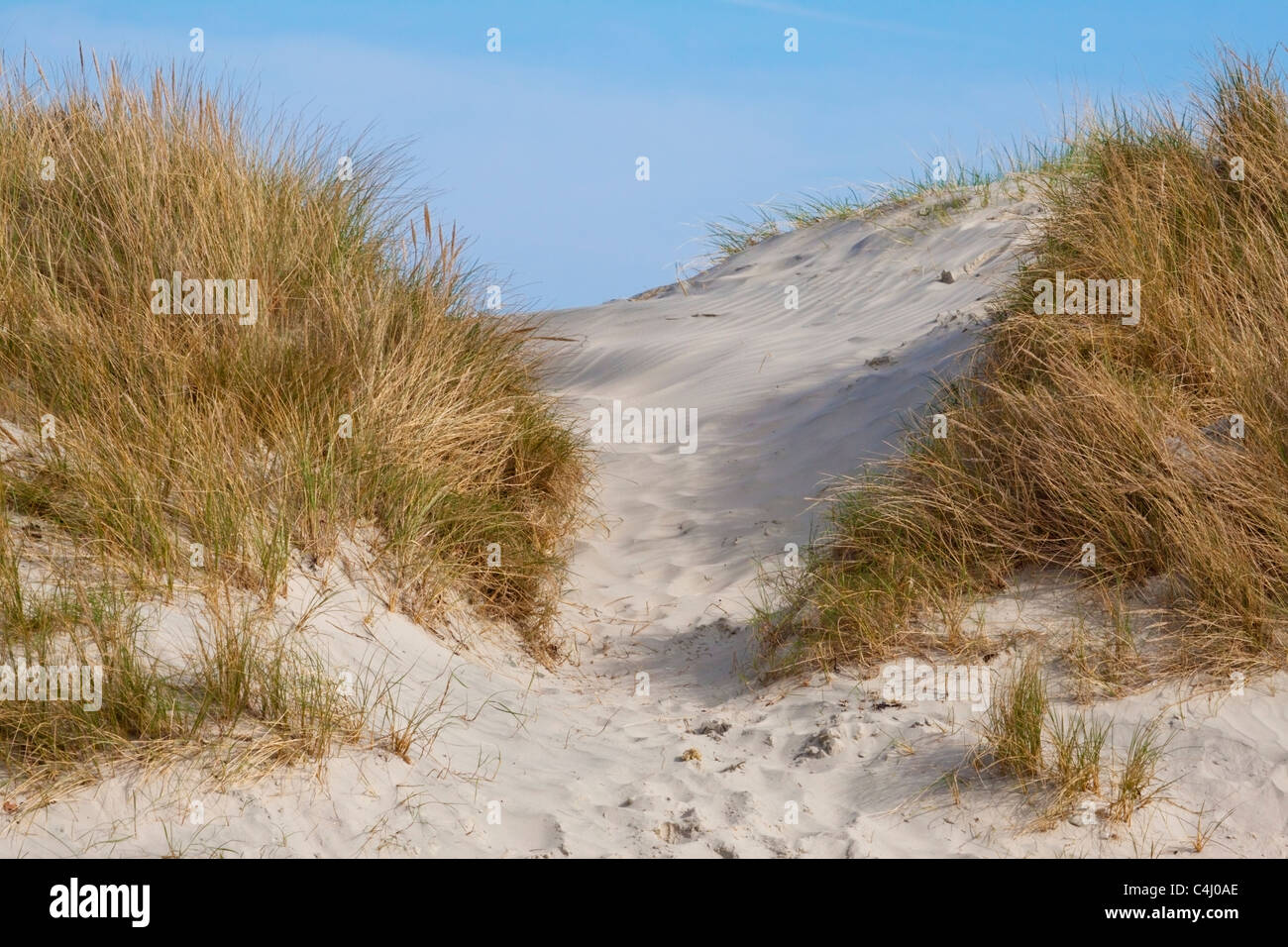 Sand Dunes at West Wittering Beach, England, UK Stock Photo - Alamy