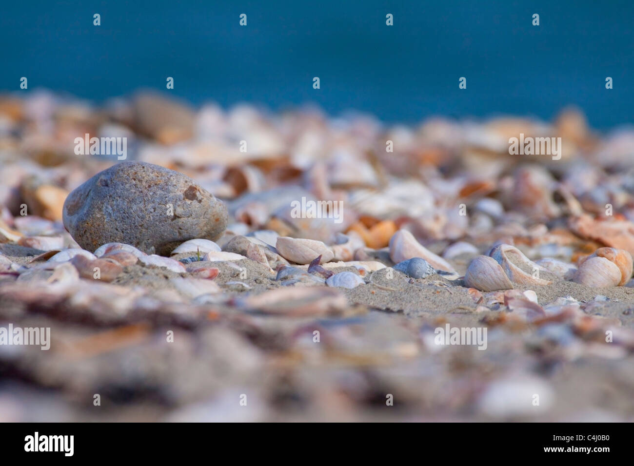 stony beach at the seaside England UK Stock Photo - Alamy