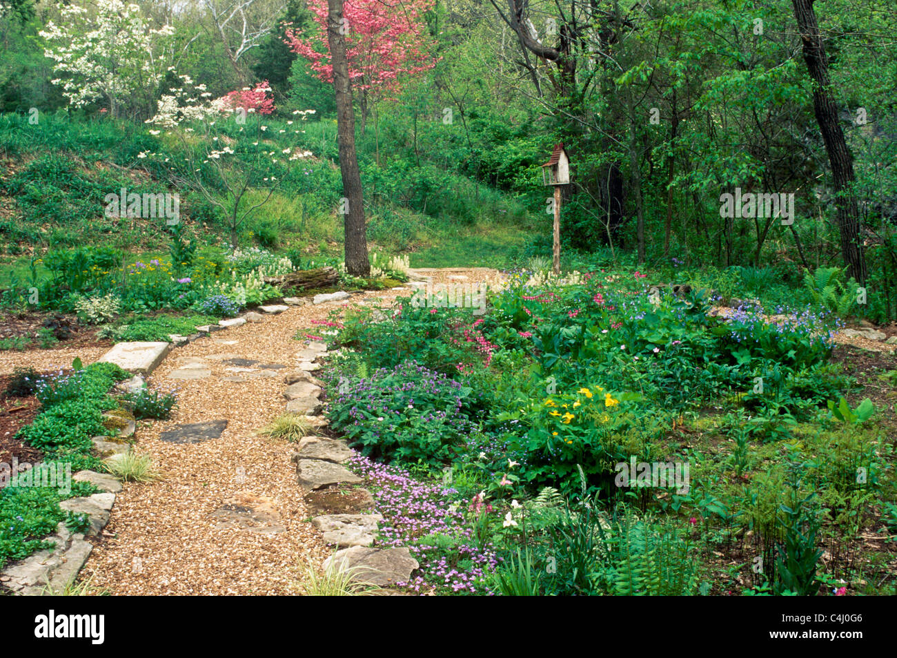 Pathway of gravel and stone through shade and flower garden with ...