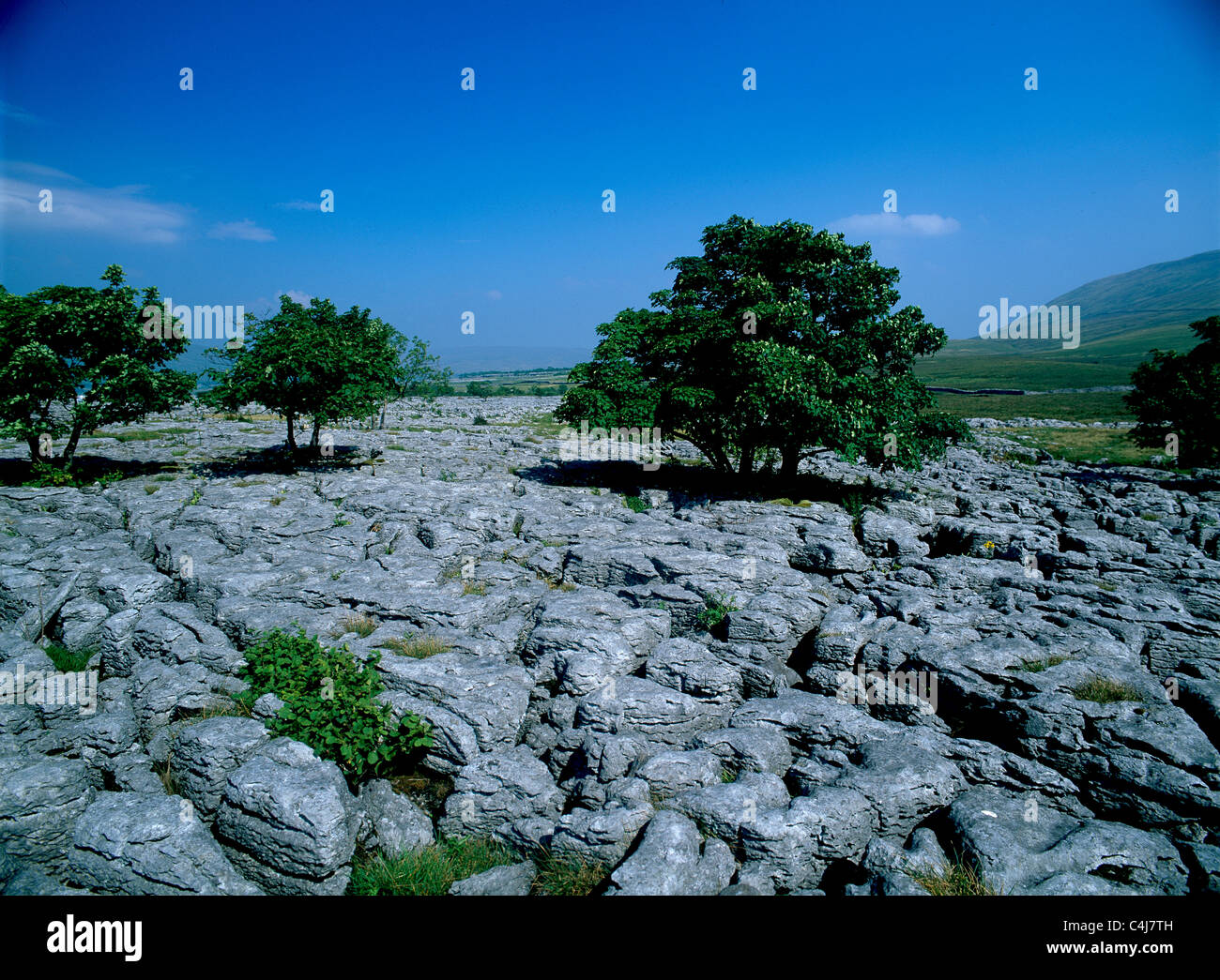 Southerscales limestone pavement, Yorkshire, UK Stock Photo - Alamy