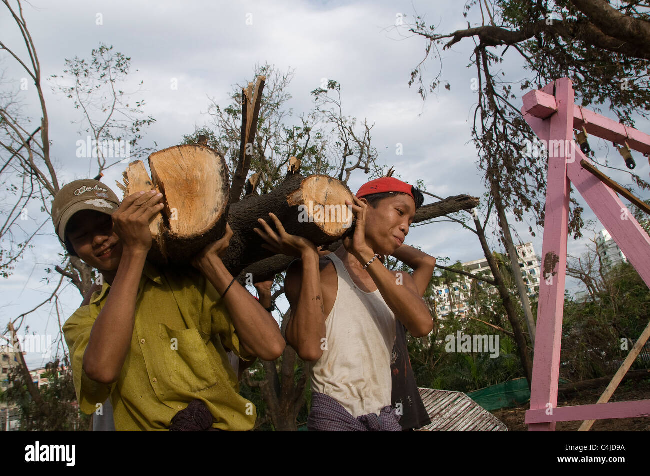 Local workers carrying trunk of a cut trees in Yangon Myanmar Stock ...
