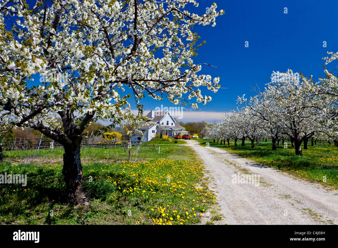 An orchard farm house on the Old Mission Peninsula, Michigan, USA Stock ...