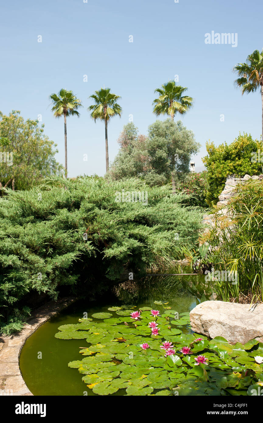 An idyllic pond in the middle of a lush garden Stock Photo - Alamy