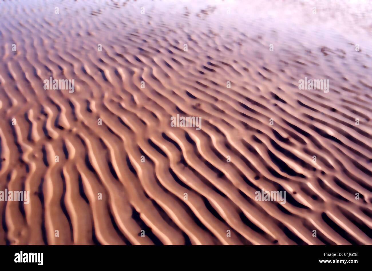Ripples in the sand Stock Photo - Alamy