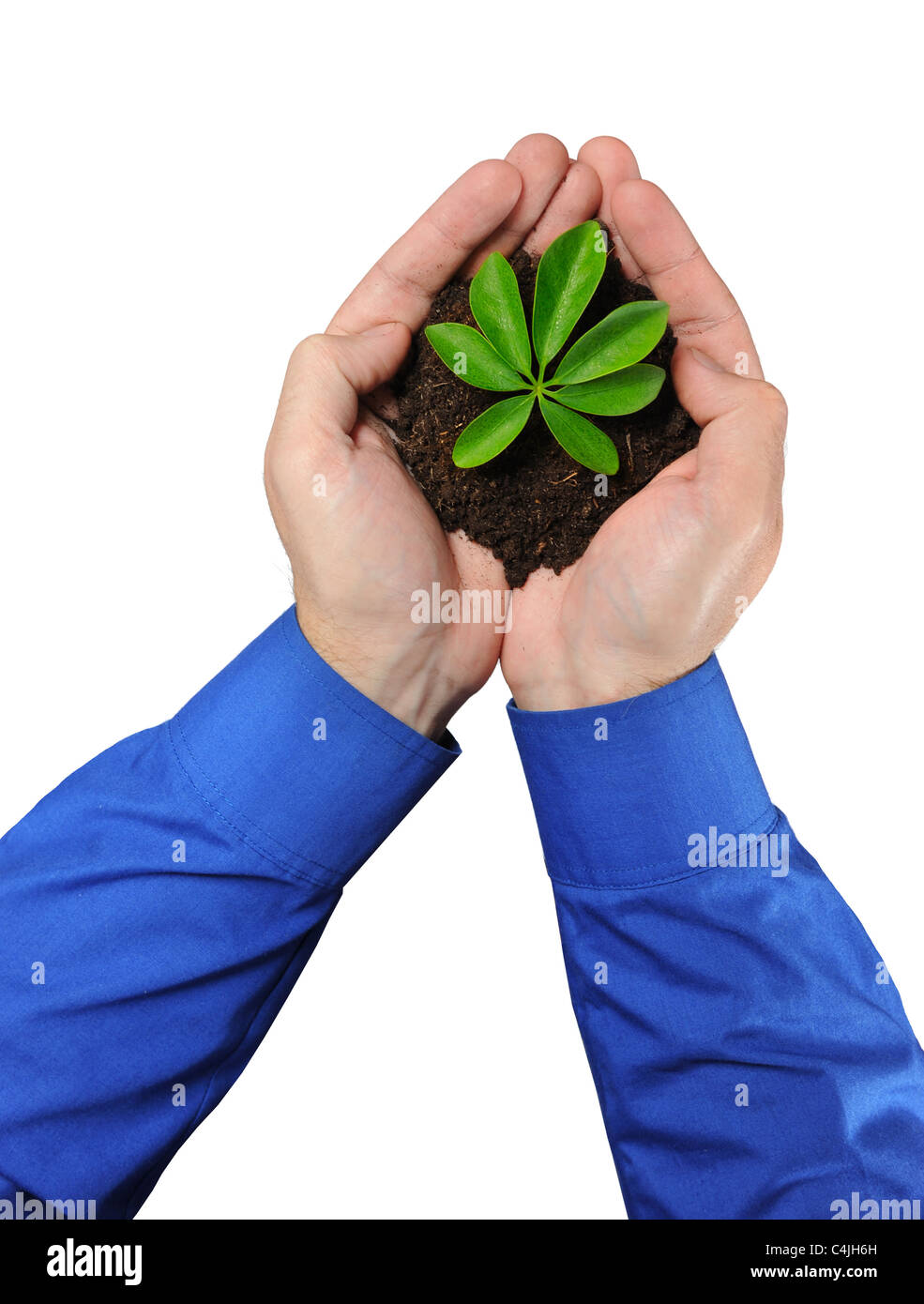 Young businessman holding sprout hi-res stock photography and images ...