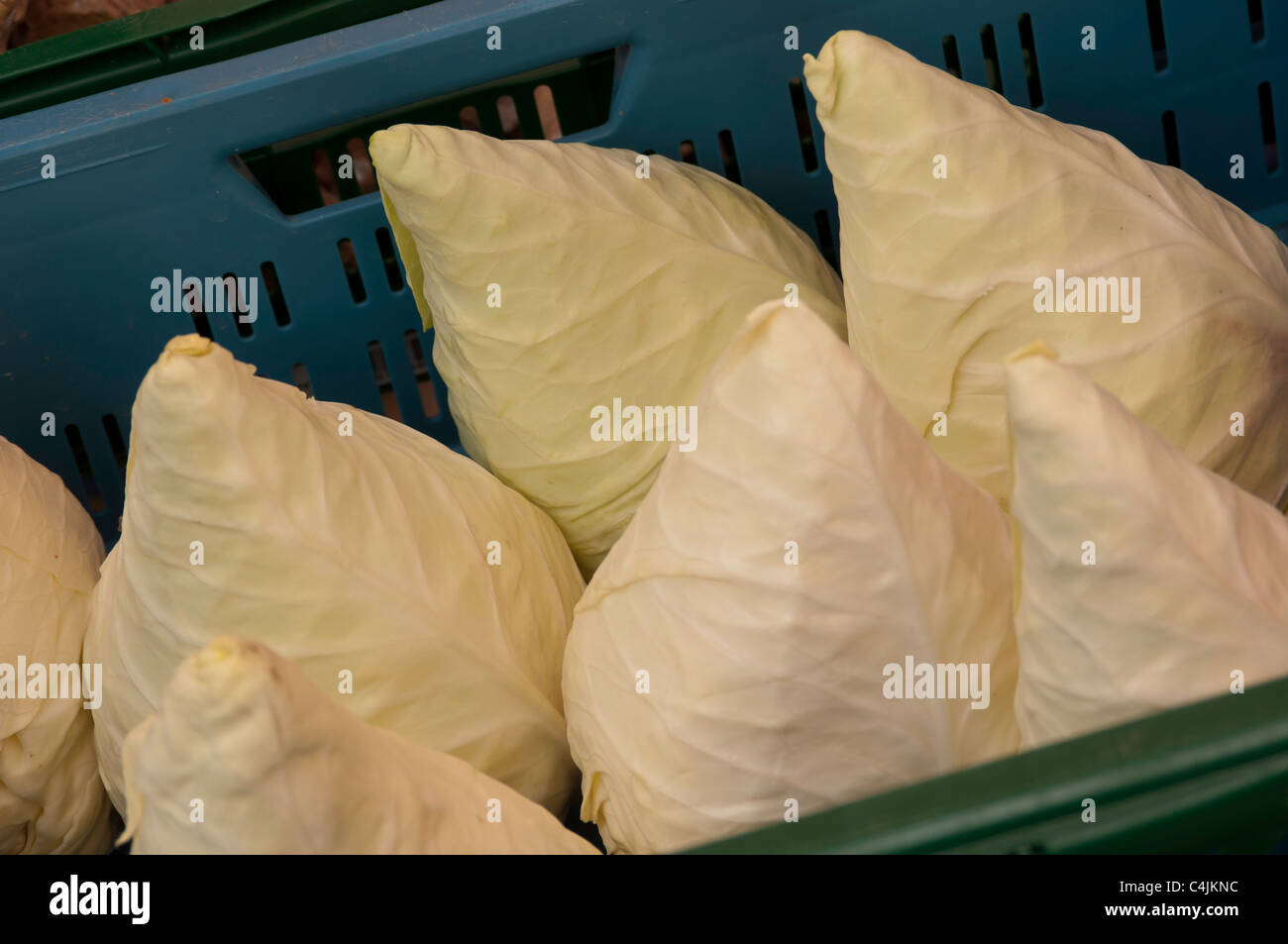 Cabbages on a market stall in Wuerzburg, Bavaria, Germany Stock Photo ...