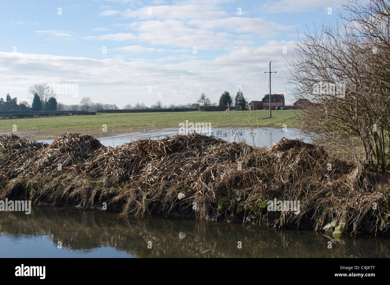 River bank drainage, Nafferton Beck, East Riding of Yorkshire, England ...