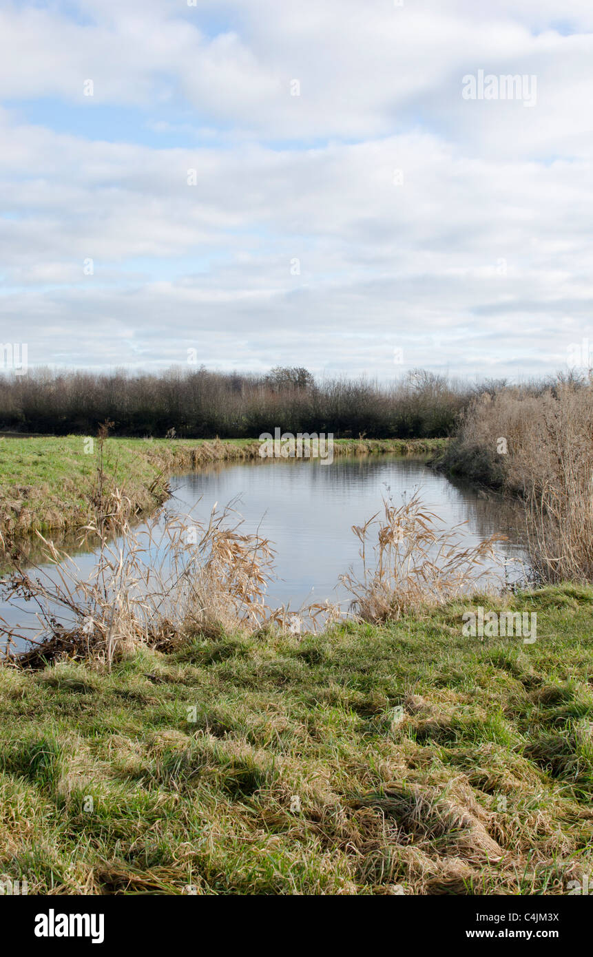 Nafferton beck hi-res stock photography and images - Alamy