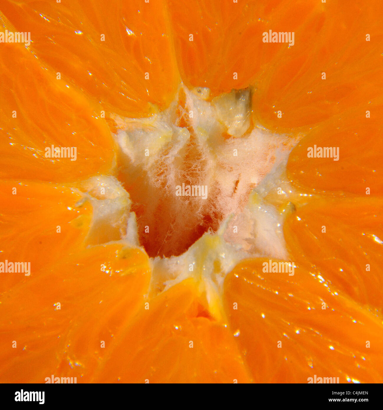 Middle segment hi-res stock photography and images - Alamy