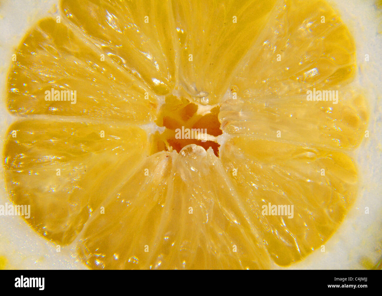 Middle segment hi-res stock photography and images - Alamy