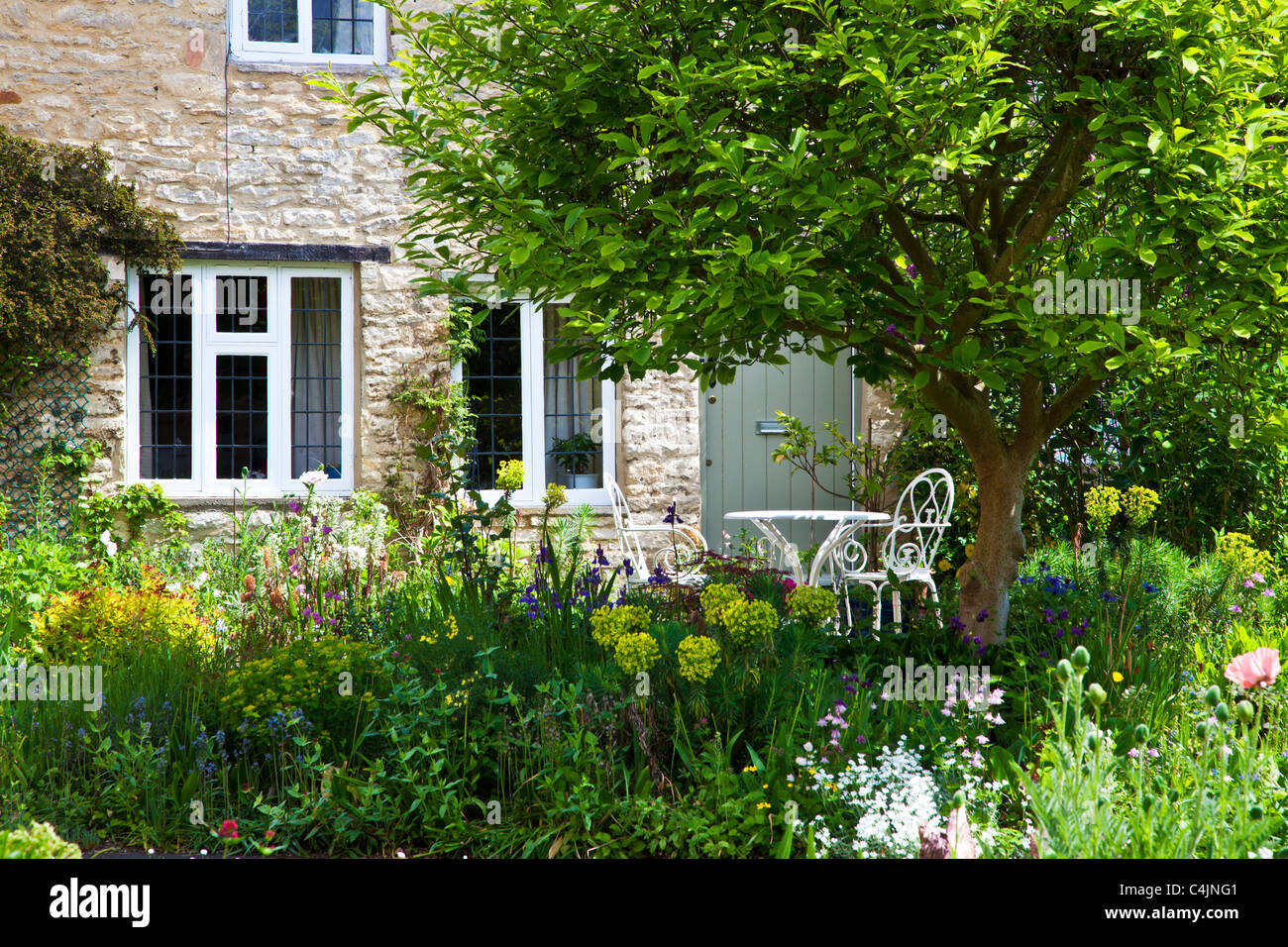 A pretty English country front garden in the Cotswolds in spring or ...