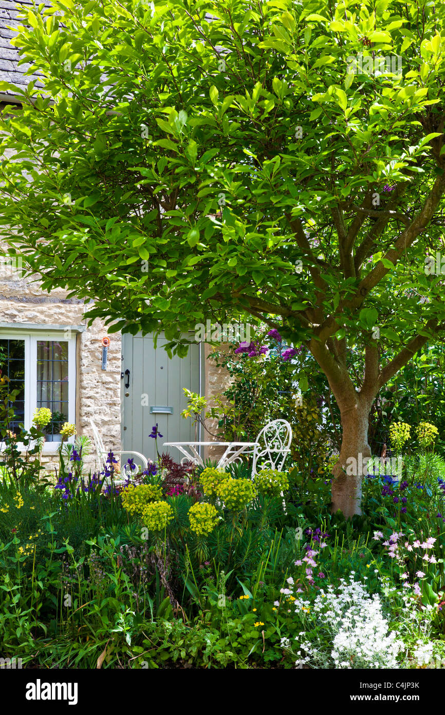 A pretty English country front garden in the Cotswolds in spring or ...