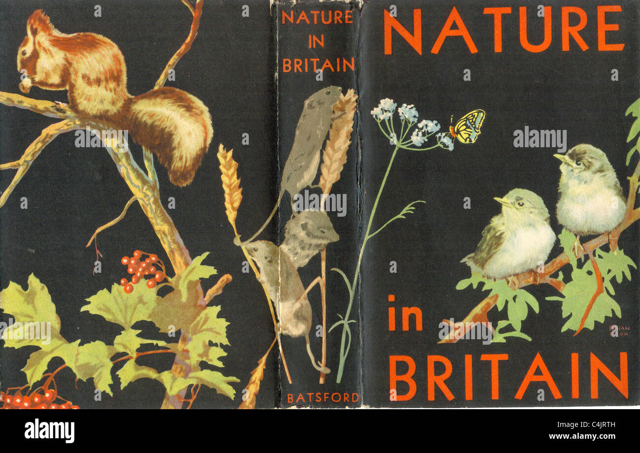 Dust jacket for Nature in Britain by artist Brian Cook Stock Photo - Alamy