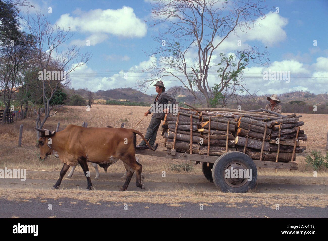 Timber cart hi-res stock photography and images - Alamy
