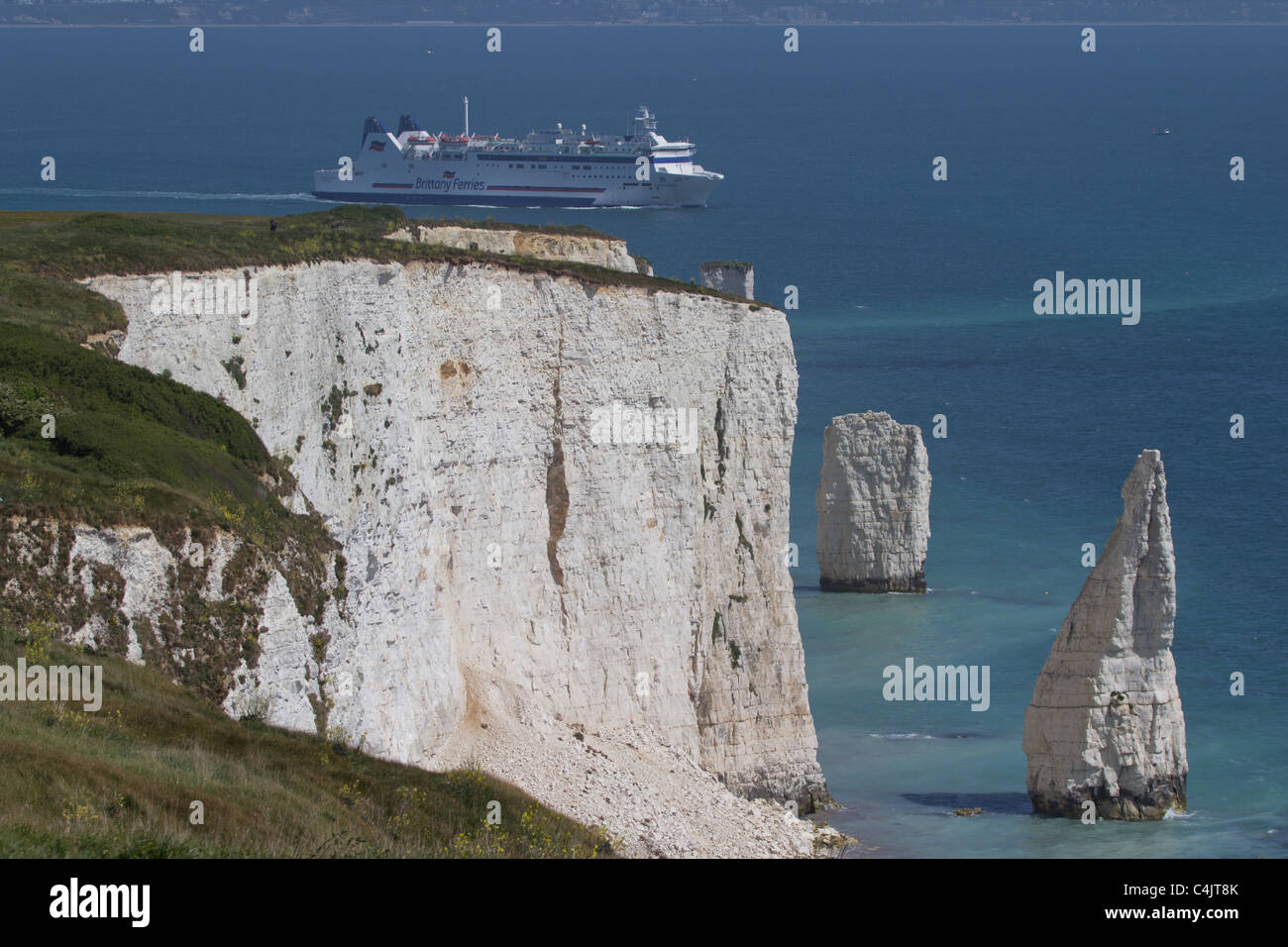 Chalk cliffs near Old Harry Rocks on the Dorset coast. Isle of Purbeck ...