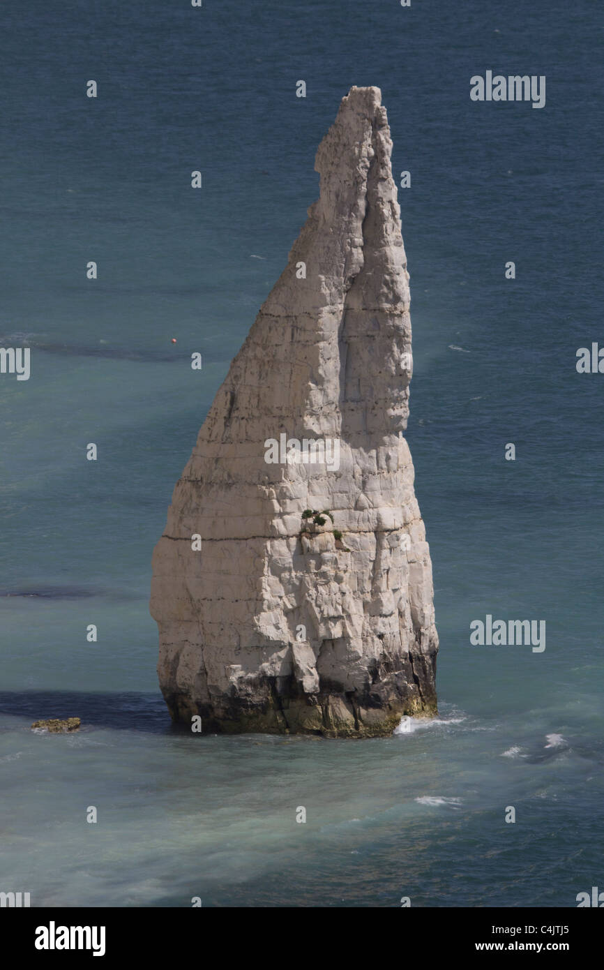 Chalk stack near Old Harry Rocks on the Dorset coast. Isle of Purbeck ...