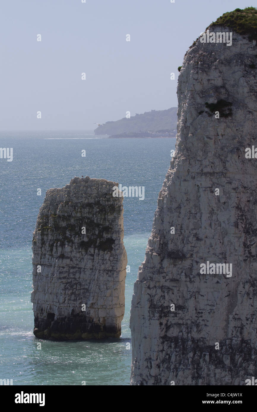 Chalk cliffs near Old Harry Rocks on the Dorset coast. Isle of Purbeck ...