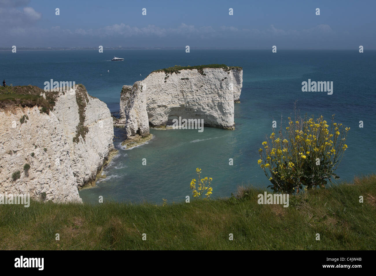 Jurassic coast cliff rocks hi-res stock photography and images - Alamy