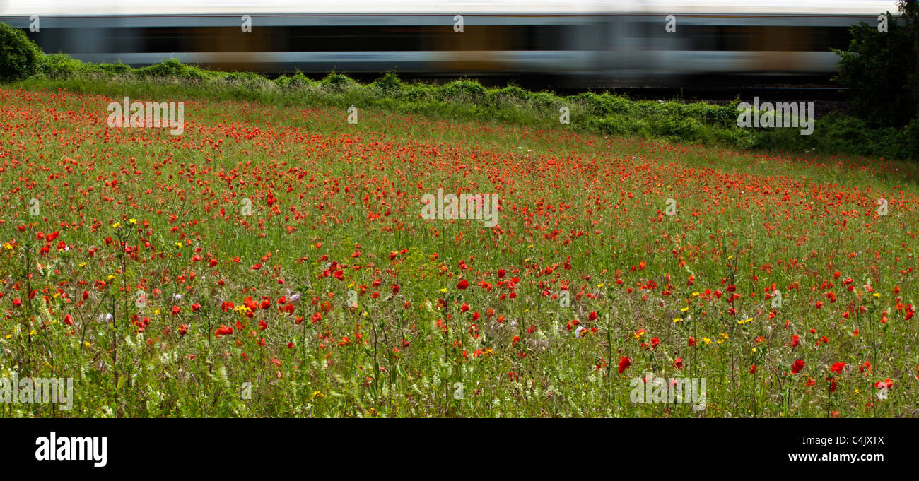 Ranscombe farm hi-res stock photography and images - Alamy